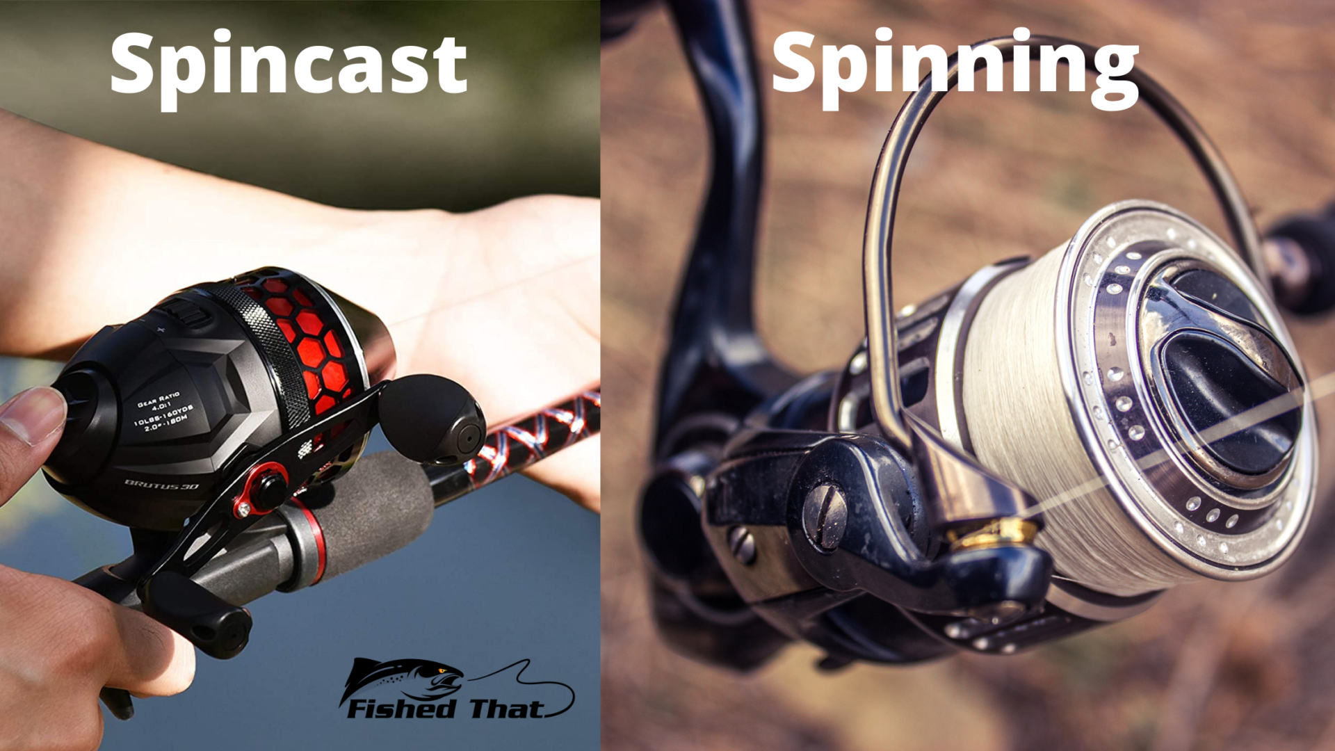 3 Different Types of Fishing Reels and How to Spool Them - Fished That