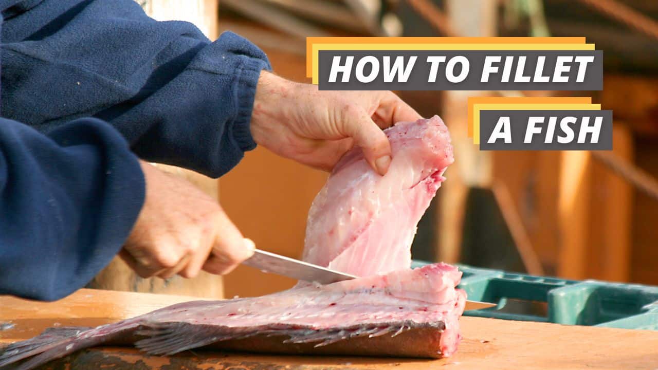 How to Fillet a Fish (Salmon, Walleye, and More!) - Fished That