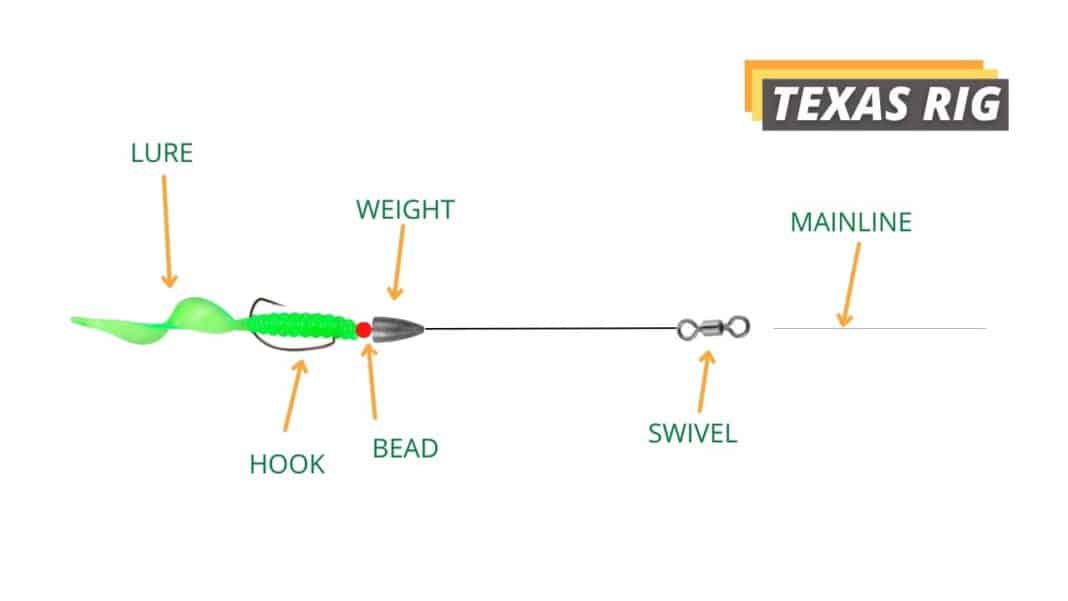 Carolina Rig vs. Texas Rig: 8 Differences Explained - Fished That